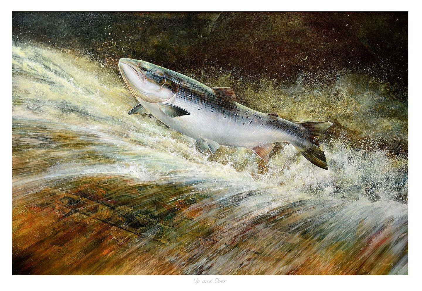 Up and Over - First4Frames Gallery