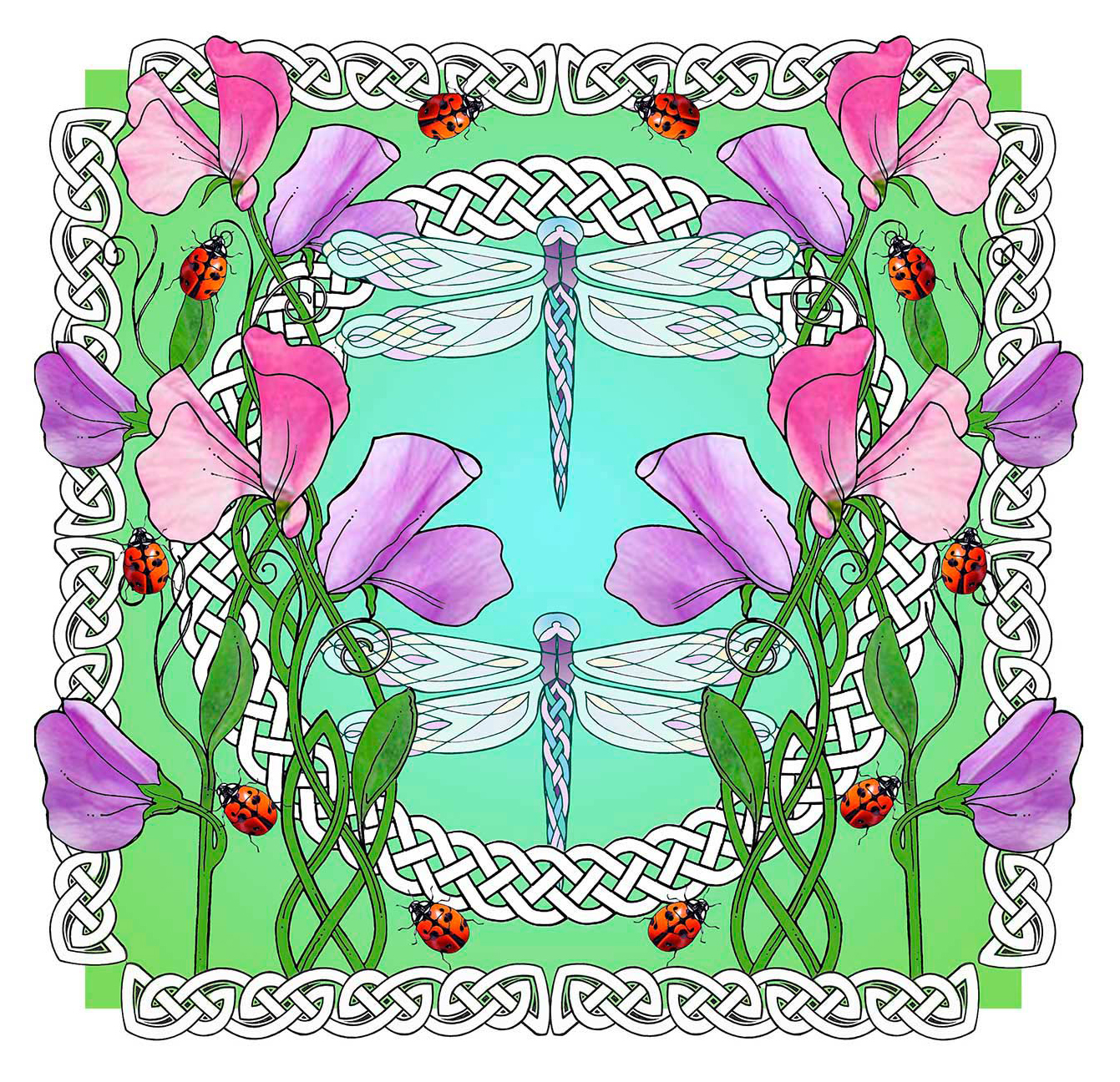 Sweetpeas and Ladybirds - by Marjory Tait - First4Frames Gallery